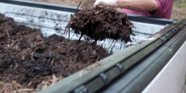How to Dispose of Old Mulch (Easy and Safe Way) - How to Dispose