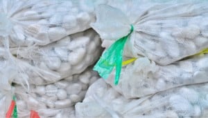 How to Dispose of Landscaping Rocks? 5 Easy Ways! - How to Dispose