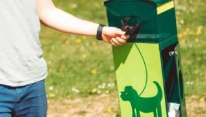 6 Simple Ways to Dispose of Pet Waste - How to Dispose