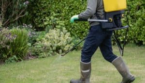 How to Dispose of Weed Killer? - How to Dispose