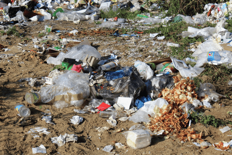 How Does Littering Affect Climate Change? Uncovering the Impact!