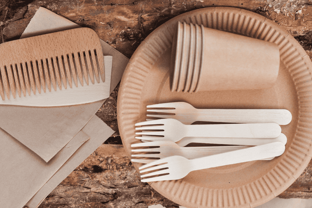 Paper Plates Vs Washing Dishes Which Is A Better Option Paper Plates Vs Washing Dishes Which Is A Better Option